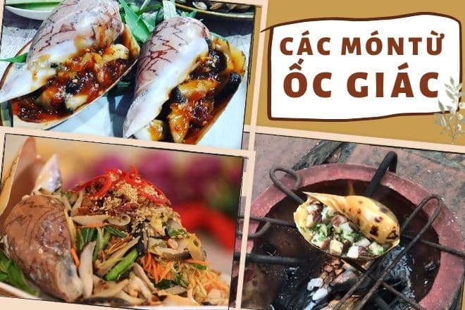 Ốc giác: 12 cách làm hấp dẫn khiến bạn yêu quý bữa cơm nhà